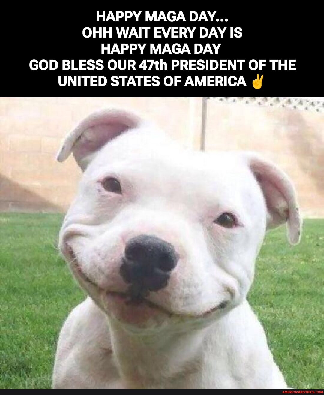 HAPPY MAGA DAY... OHH WAIT EVERY DAY IS HAPPY MAGA DAY GOD BLESS OUR ...