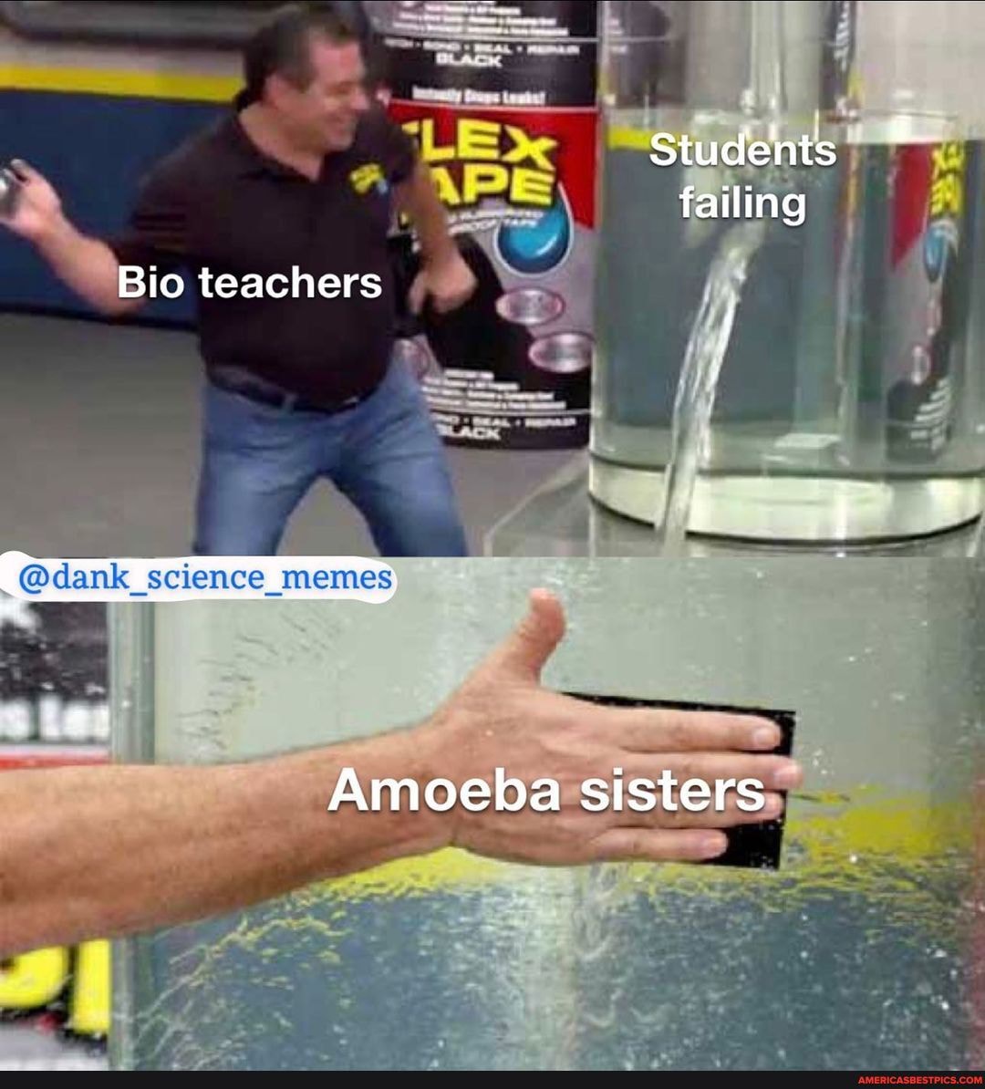 Students failing AP Bio teachers @dank_science_memes) Amoeba sisters ...