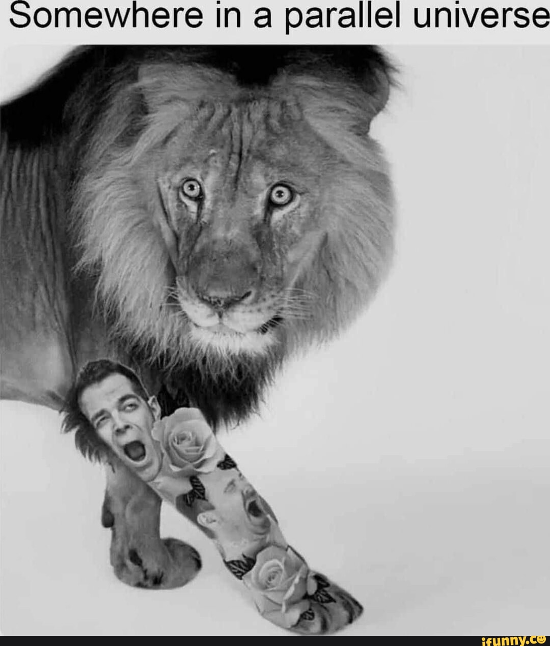 Somewhere In a parallel universe - iFunny