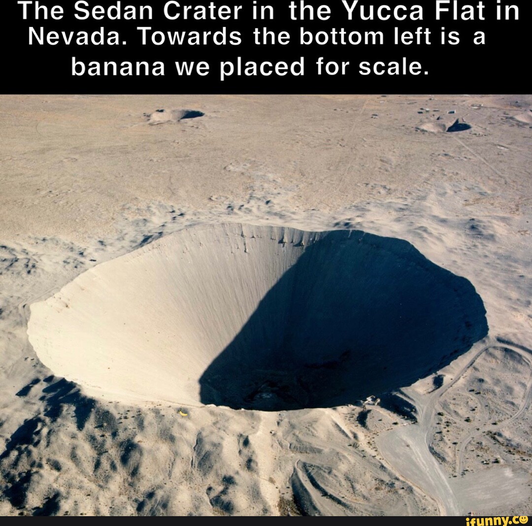 Yucca memes. Best Collection of funny Yucca pictures on iFunny