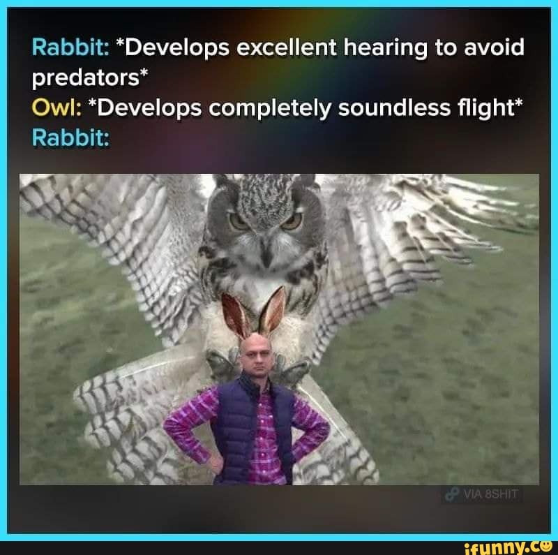 Rabbit: *Develops excellent hearing to avoid predators* Owl: *Develops ...
