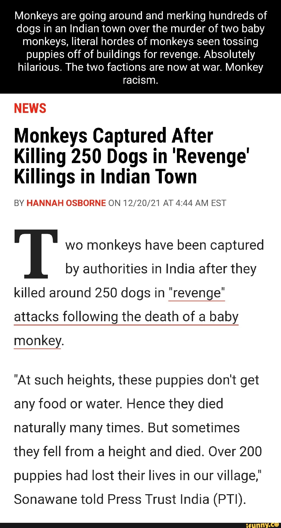 Merking memes. Best Collection of funny Merking pictures on iFunny