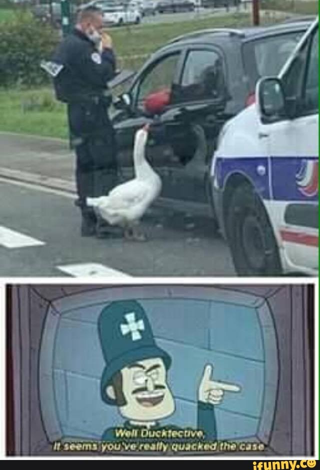 Ducktective memes. Best Collection of funny Ducktective pictures on iFunny