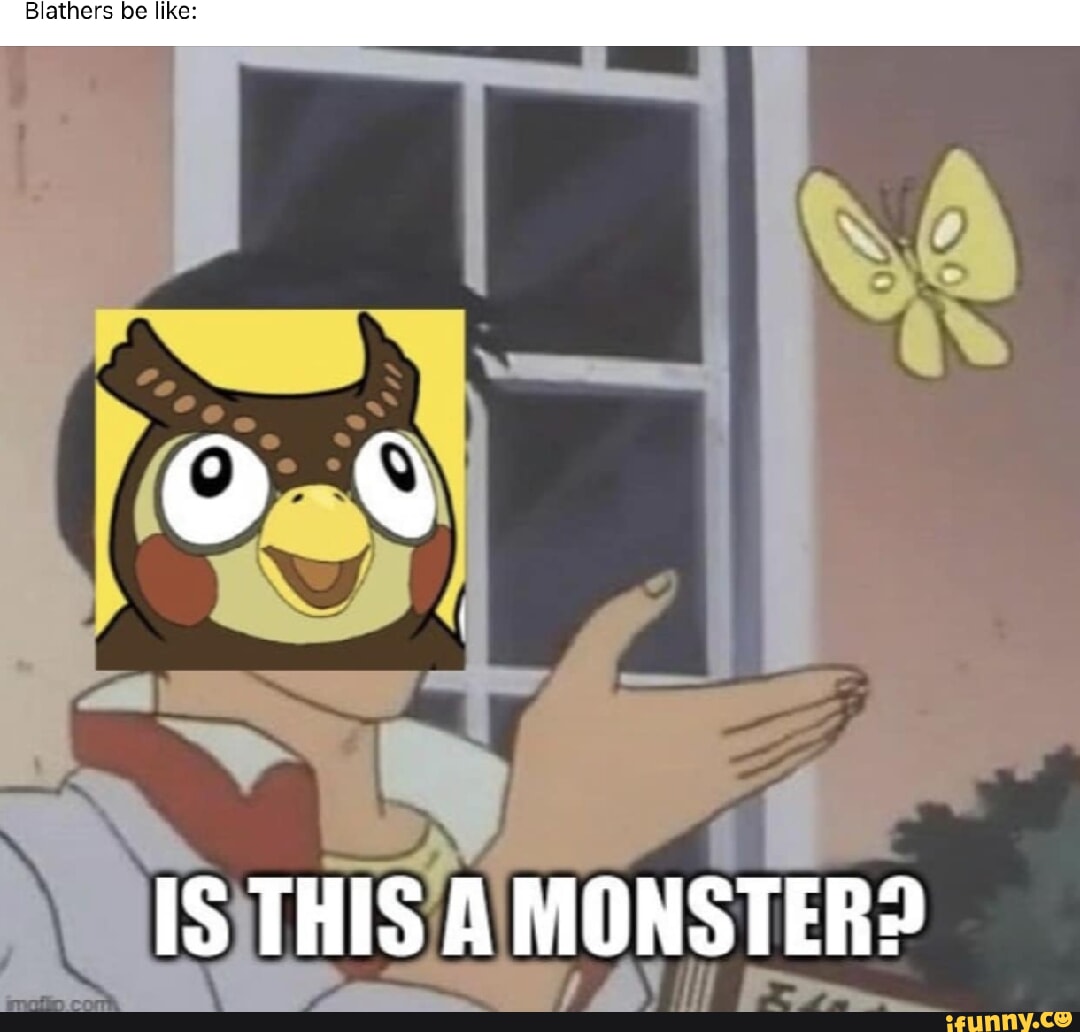 Blathers memes. Best Collection of funny Blathers pictures on iFunny