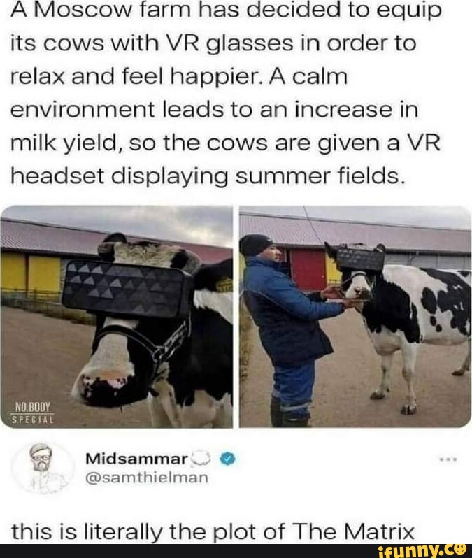 A Moscow farm has cecided to equip its cows with VR glasses in order to ...