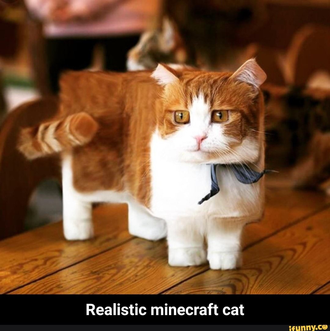 Realistic minecraft cat - Realistic minecraft cat - iFunny