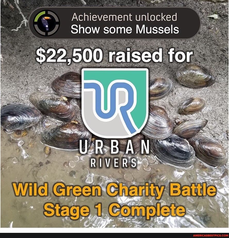 Achievement unlocked Show some Mussels $22,500 raised for - America’s ...