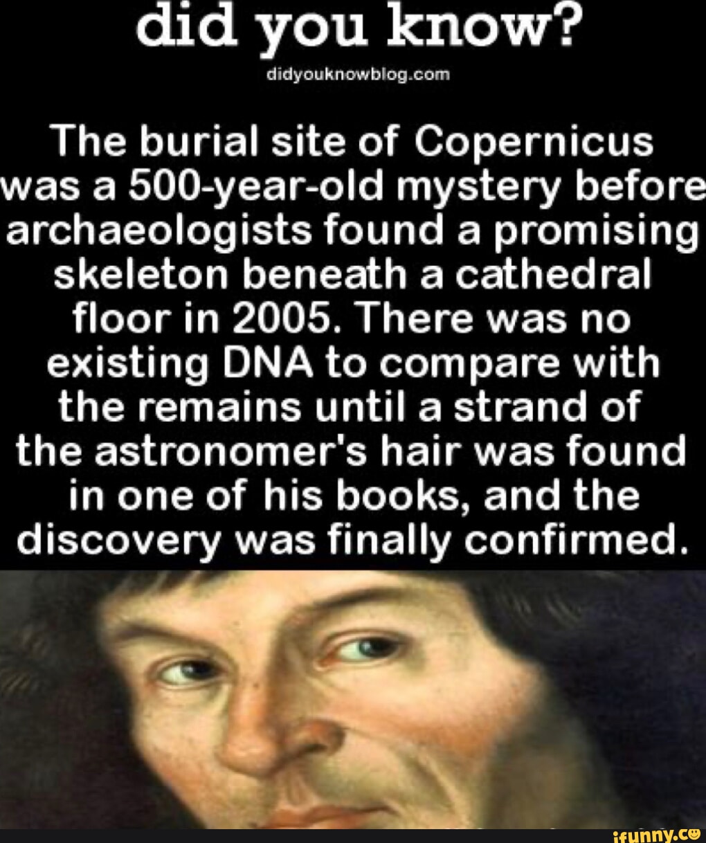 Copernicus memes. Best Collection of funny Copernicus pictures on iFunny