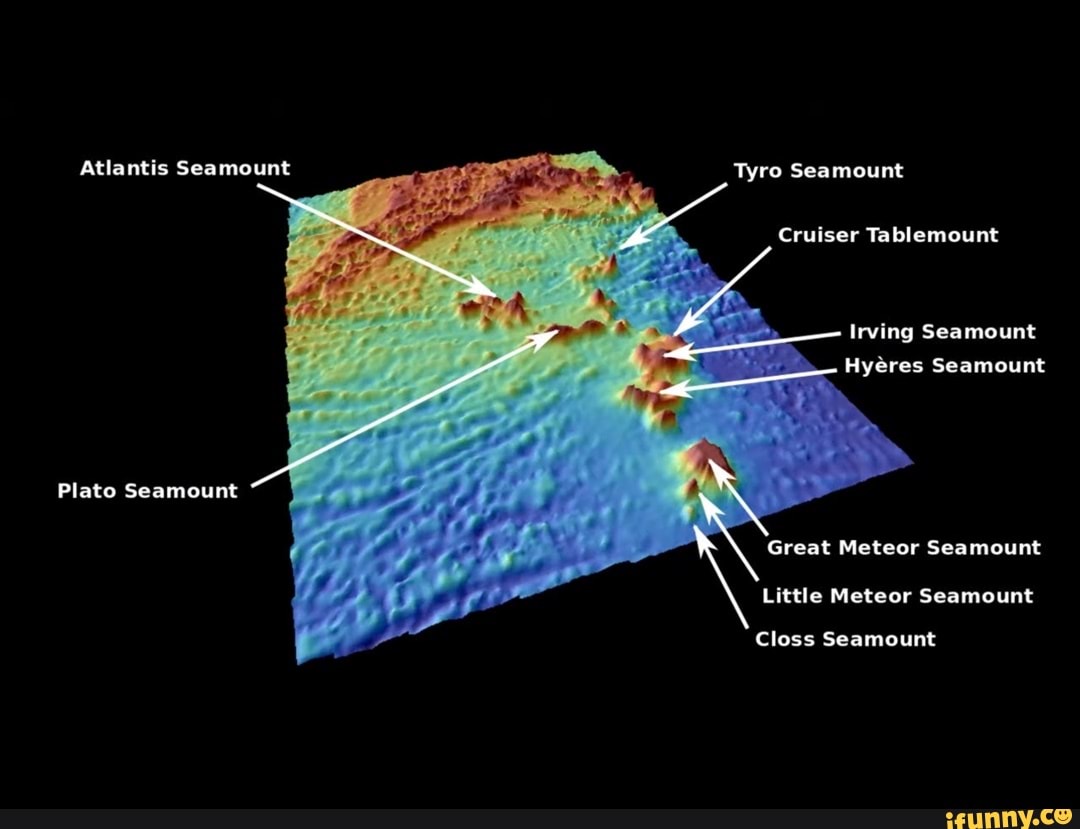 Hyres memes. Best Collection of funny Hyres pictures on iFunny