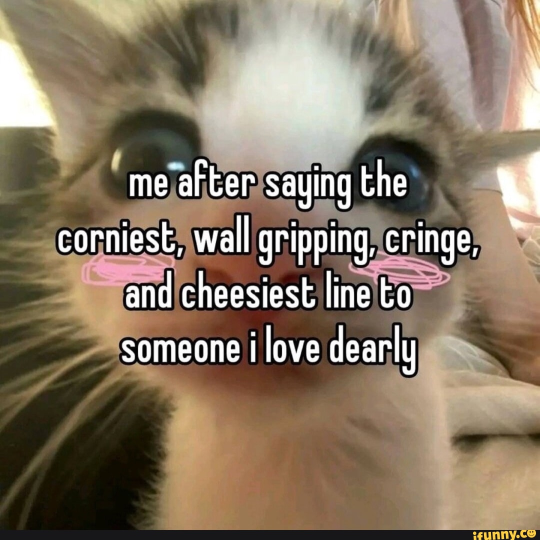 Me after saying the corniest, wall gripping, cringe, ~ and cheesiest ...