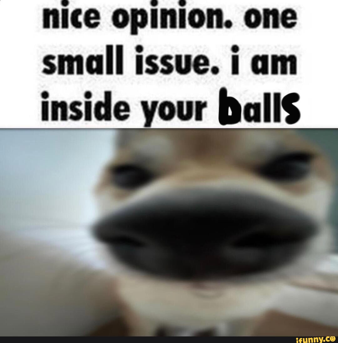 Nice opinion. one small issue. am inside your ball$ - iFunny