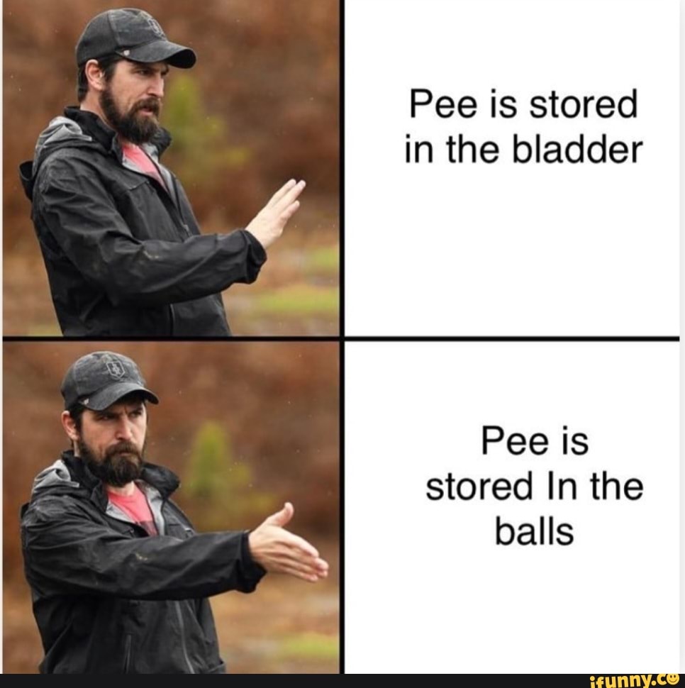 Pee is stored in the bladder Pee is stored In the balls - iFunny
