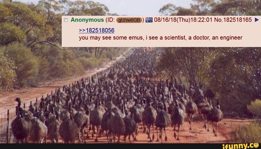 Emus memes. Best Collection of funny Emus pictures on iFunny