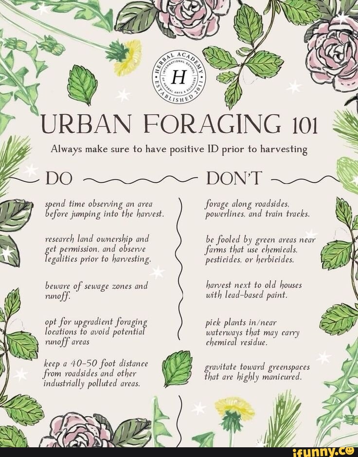 Forage memes. Best Collection of funny Forage pictures on iFunny