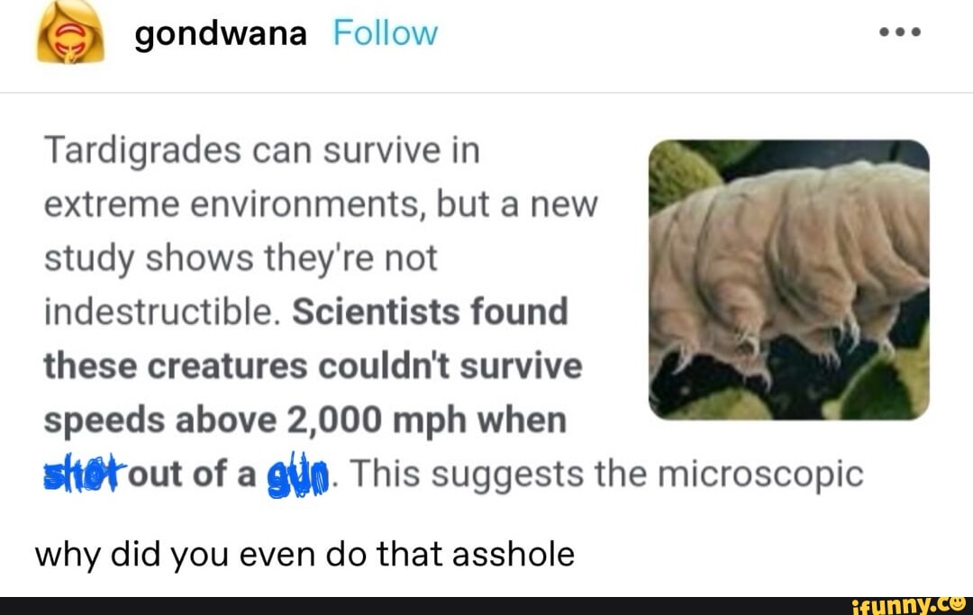 Video memes VcmRQobz7 by Cocorulez: 1.8K comments - iFunny