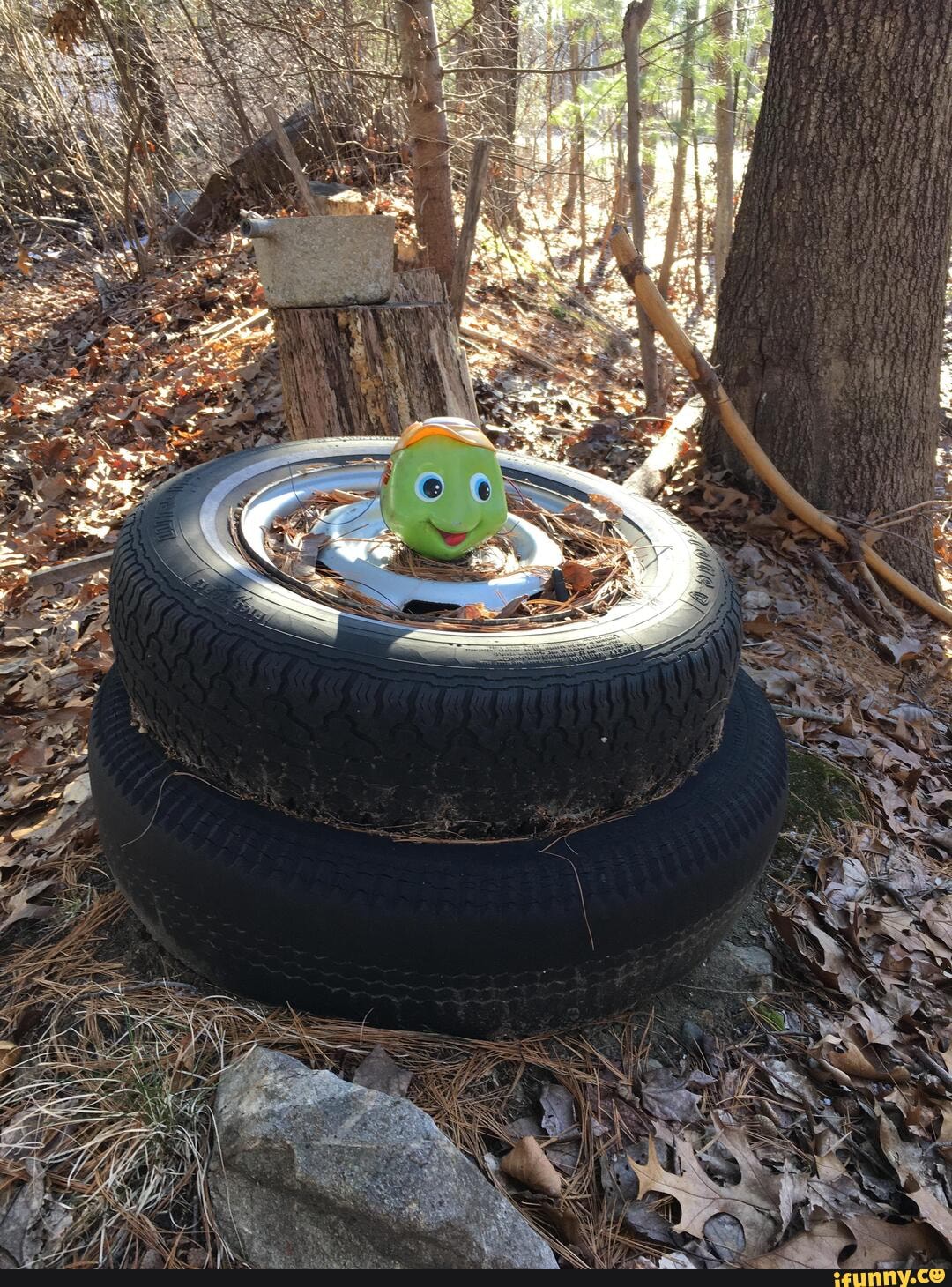 Cursed_turtle memes. Best Collection of funny Cursed_turtle pictures on ...