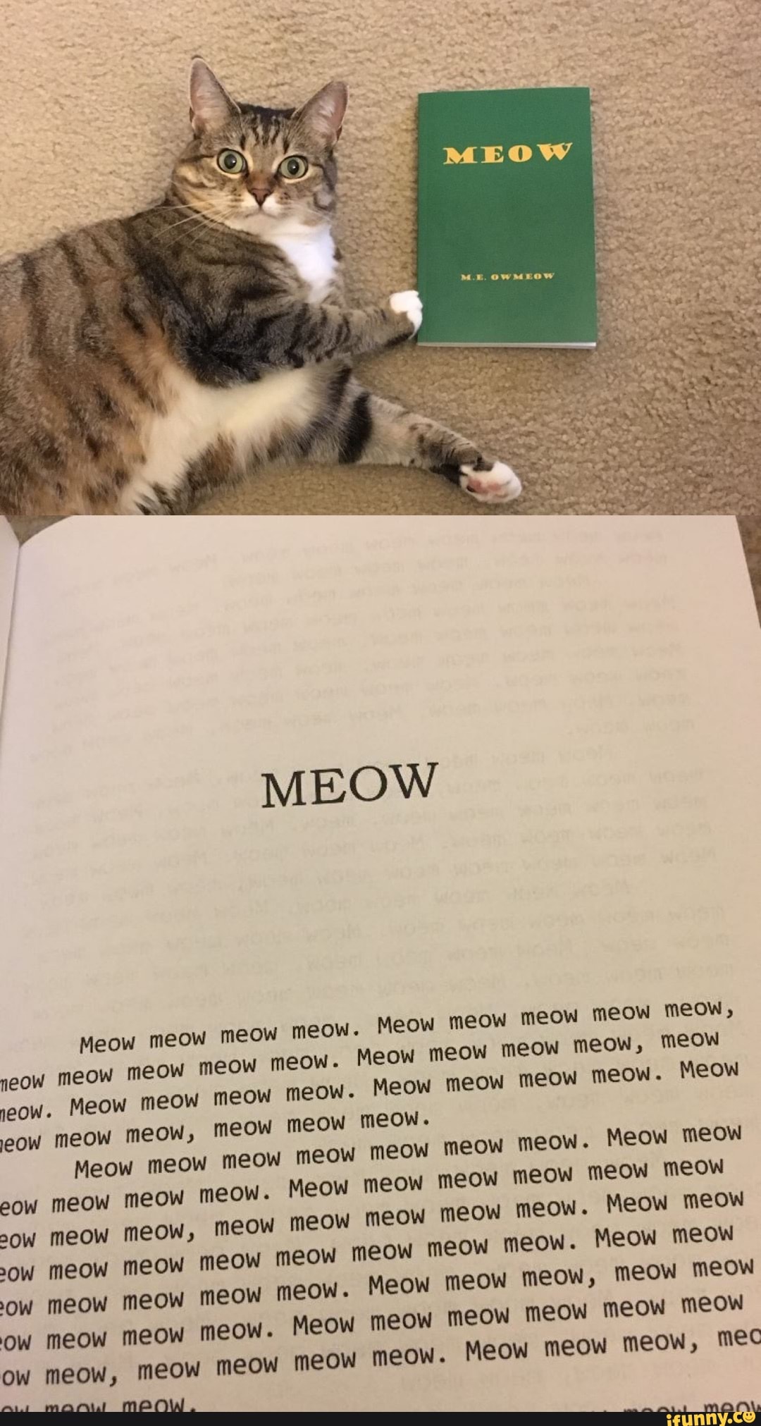 Neow memes. Best Collection of funny Neow pictures on iFunny