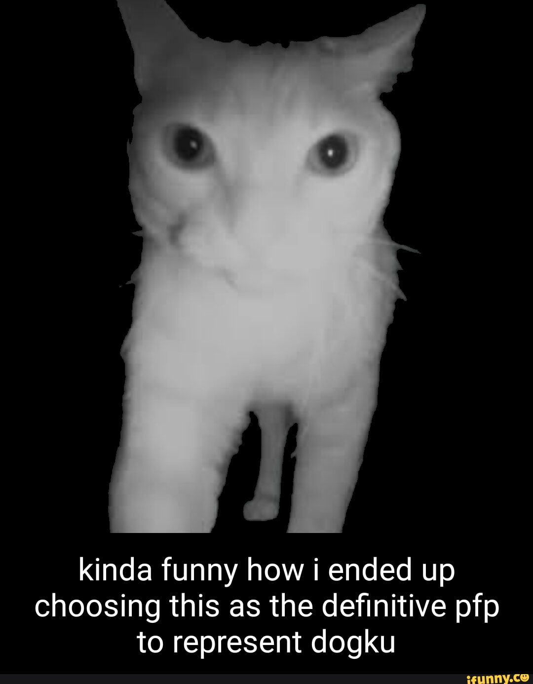 Kinda funny how i ended up choosing this as the definitive pfp to ...