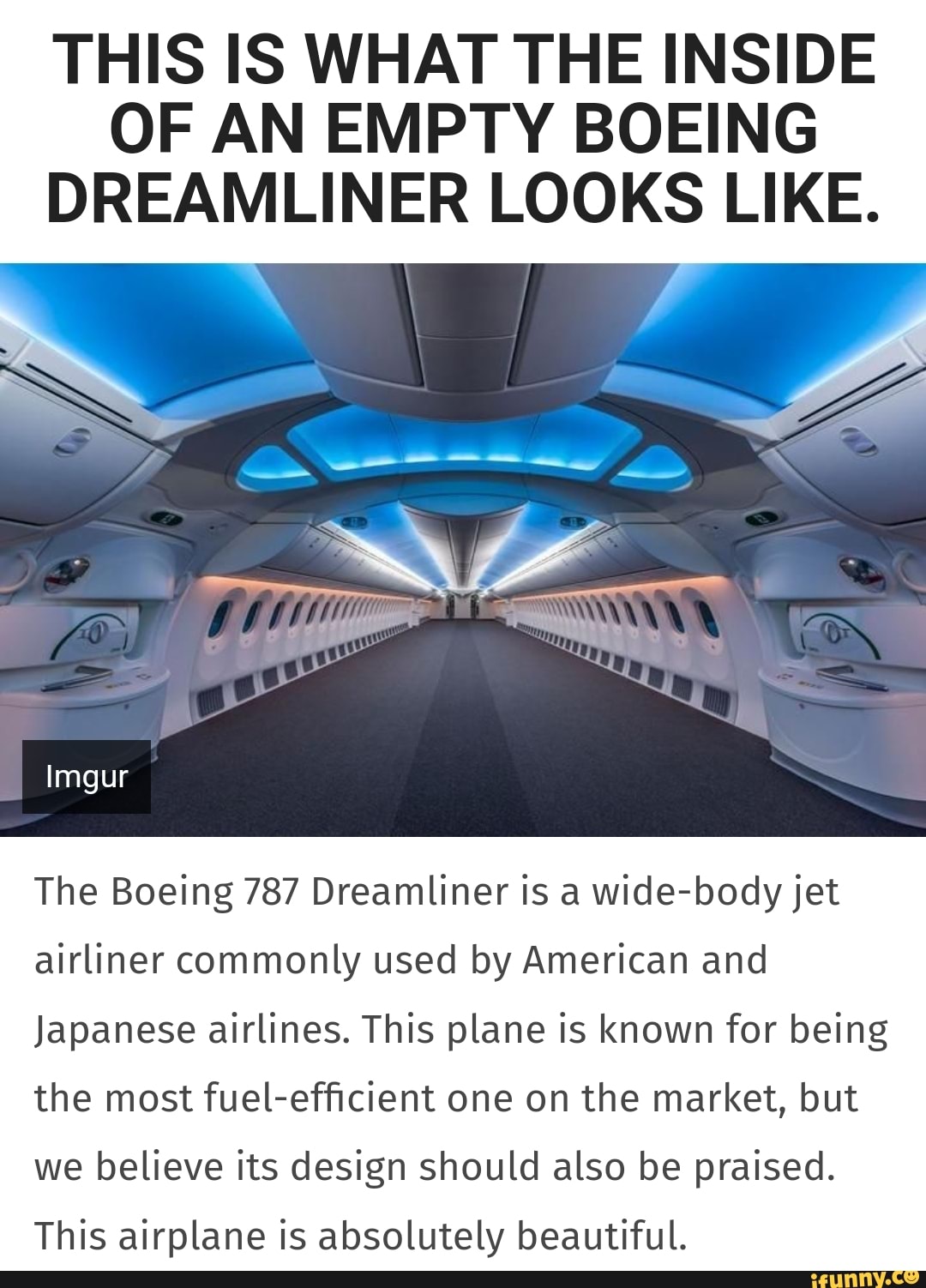Dreamliner memes. Best Collection of funny Dreamliner pictures on iFunny