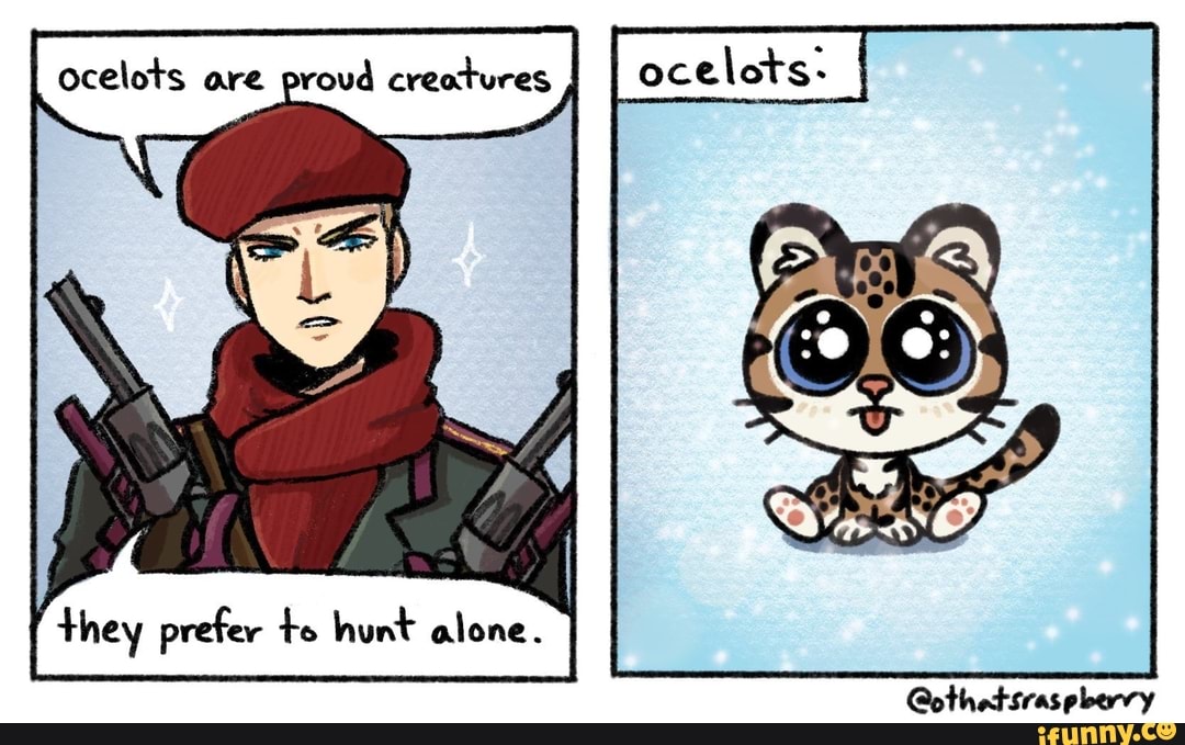 Ocelots memes. Best Collection of funny Ocelots pictures on iFunny