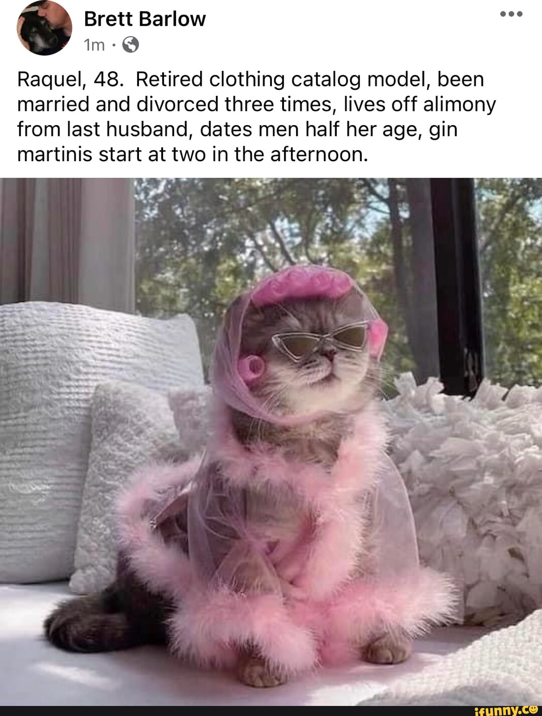 Alimony memes. Best Collection of funny Alimony pictures on iFunny