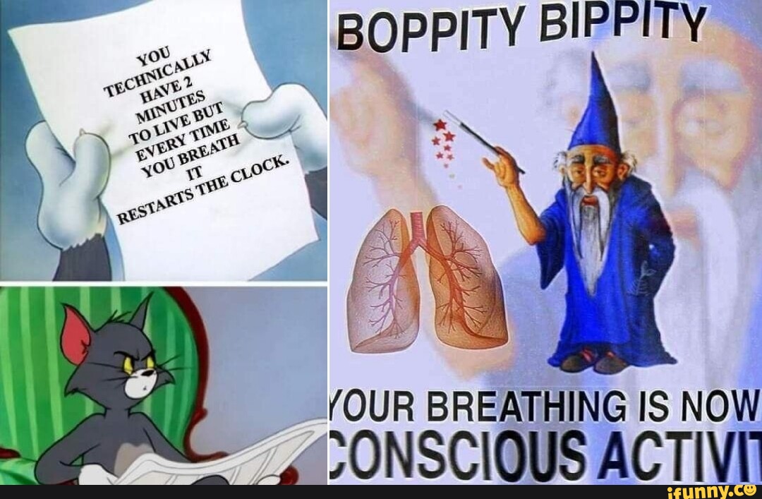 Bippity memes. Best Collection of funny Bippity pictures on iFunny