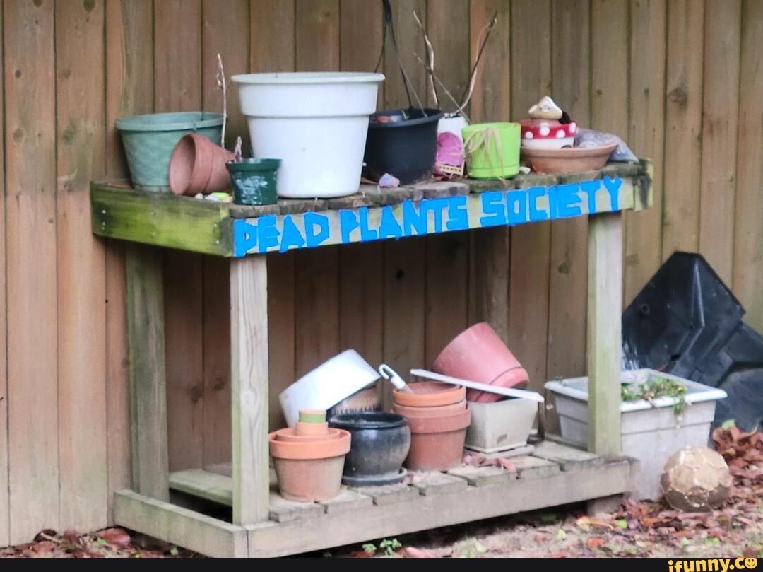 Potting memes. Best Collection of funny Potting pictures on iFunny