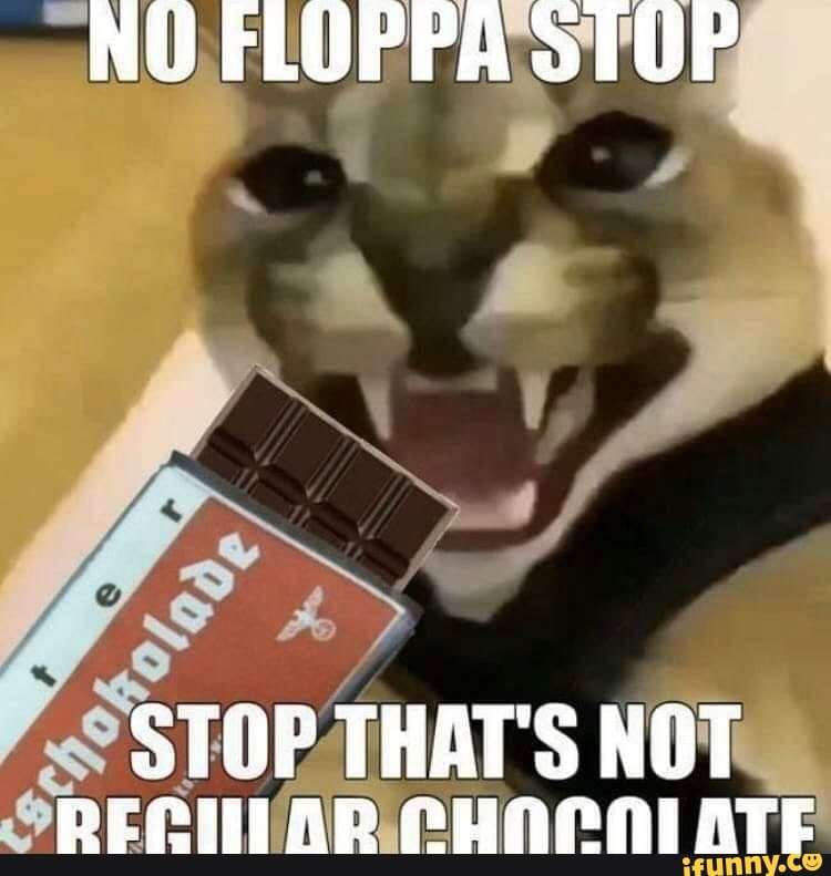 Flopper memes. Best Collection of funny Flopper pictures on iFunny