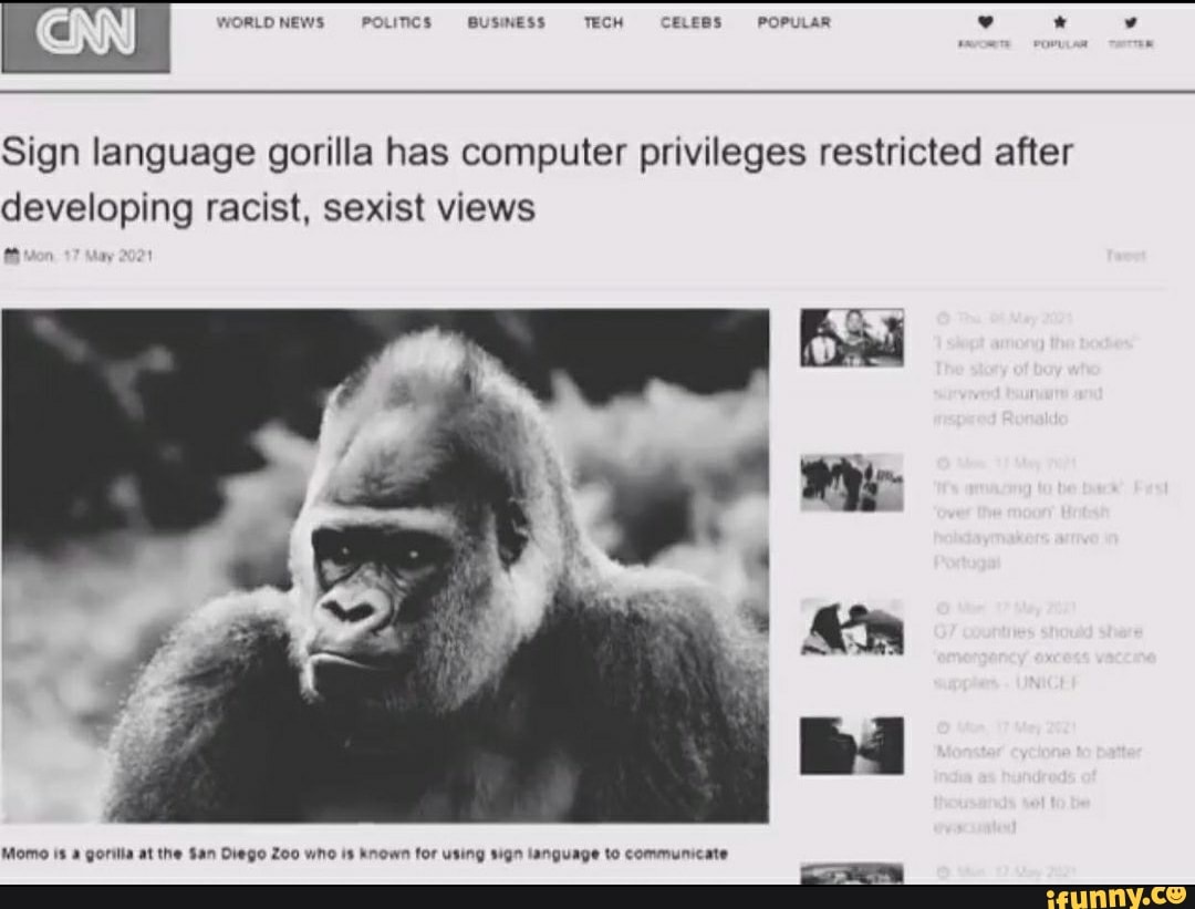 Wen Sign language gorilla has computer privileges restricted after ...