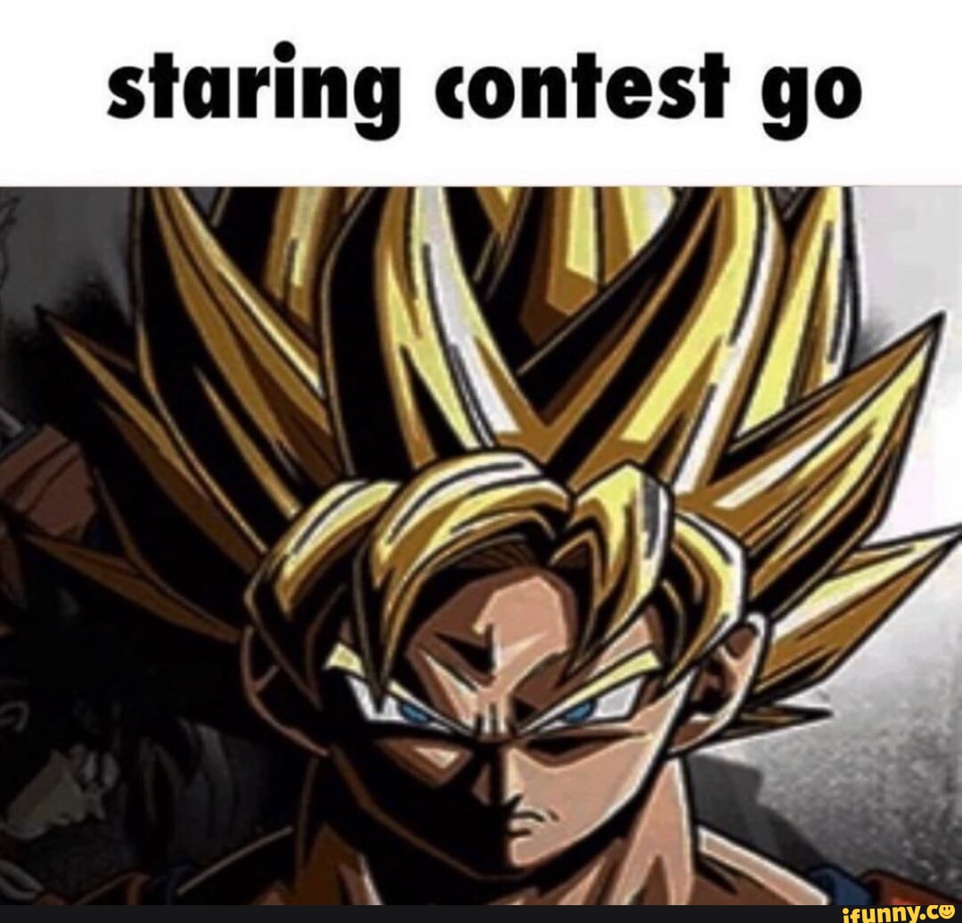 Staring contest go I I - iFunny
