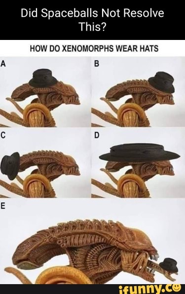 Did Spaceballs Not Resolve This? HOW DO XENOMORPHS WEAR HATS - iFunny