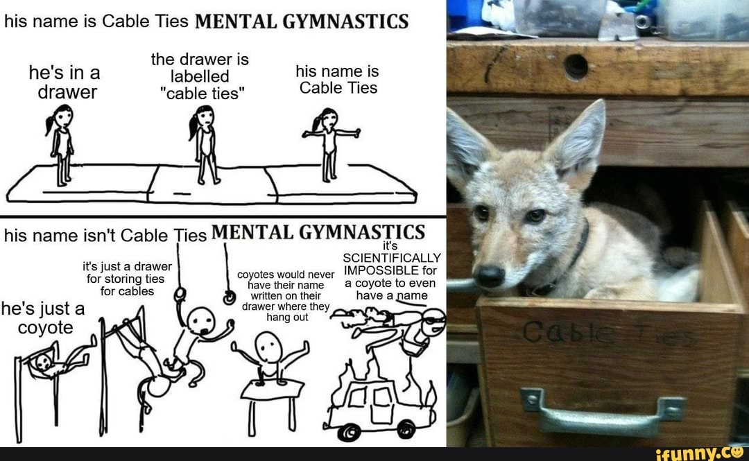 His name is Cable Ties MENTAL GYMNASTICS I the drawer is he's ina ...