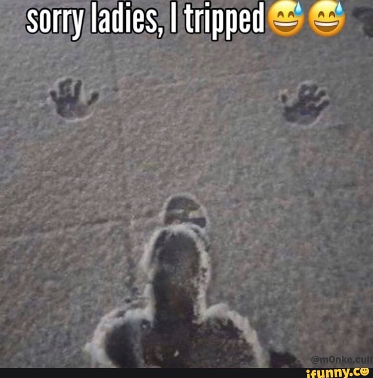 Sorry ladies, tripped - iFunny