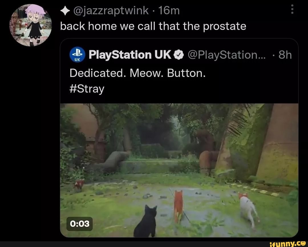 Femboy memes. Best Collection of funny Femboy pictures on iFunny