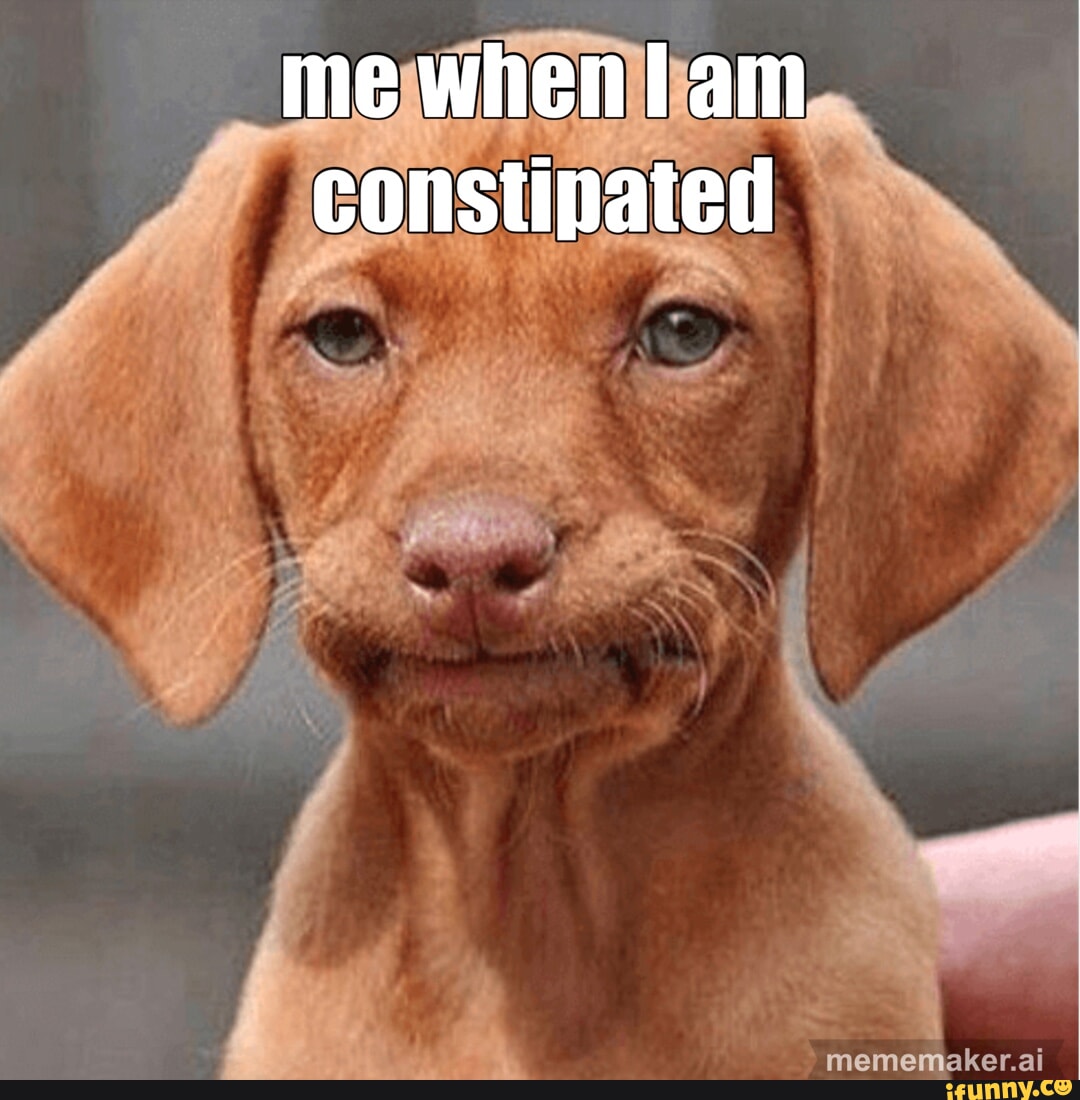Constipated memes. Best Collection of funny Constipated pictures on iFunny