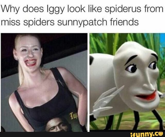 Why does Iggy look like spiderus from miss spiders sunnypatoh friends ...