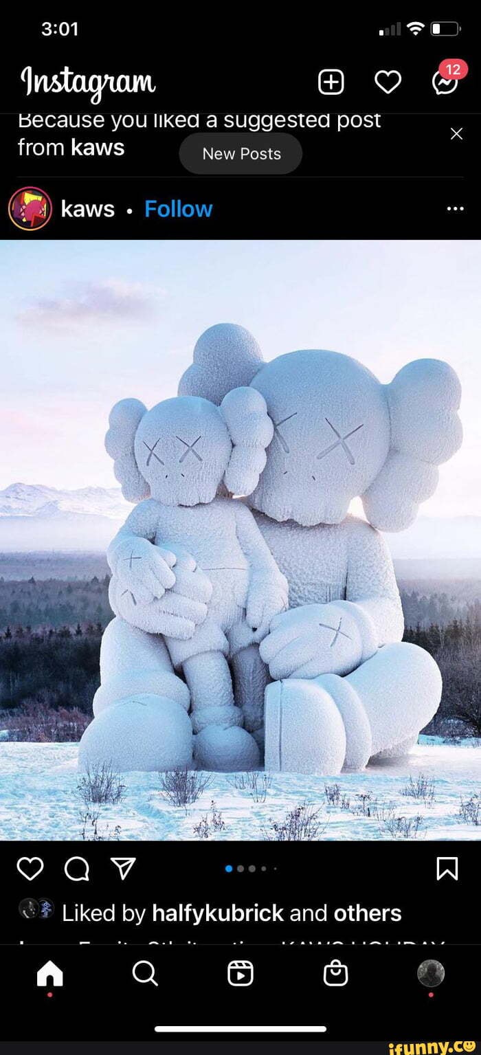 Instagram Because you liked a suggested post from kaws New Posts kaws ...