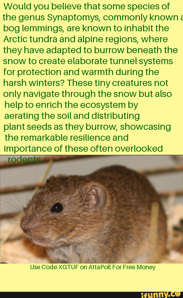 Tundra memes. Best Collection of funny Tundra pictures on iFunny