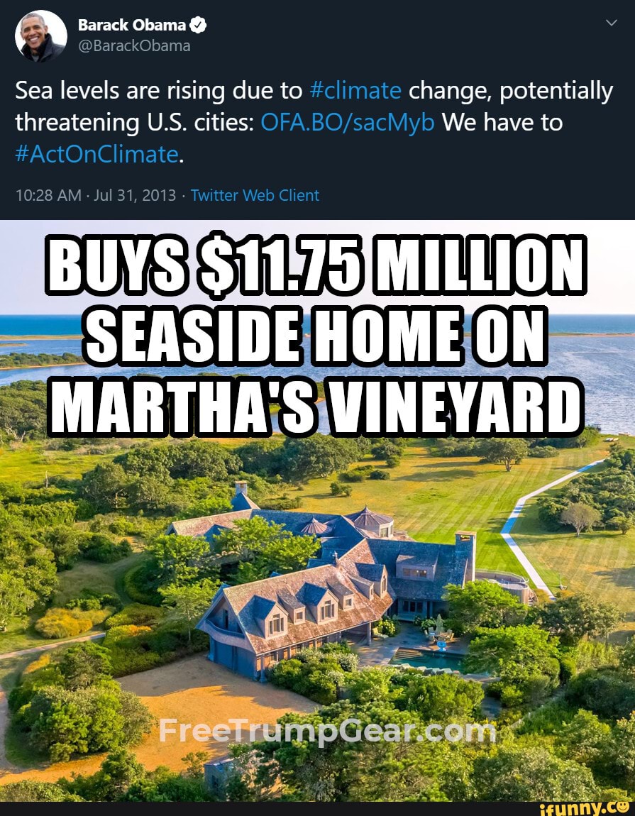 Sealevels memes. Best Collection of funny Sealevels pictures on iFunny