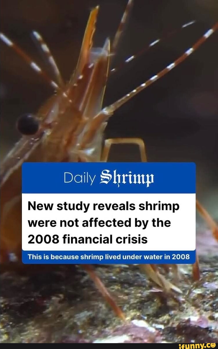 I Daily Shrimp New study reveals shrimp were not affected by the 2008 ...