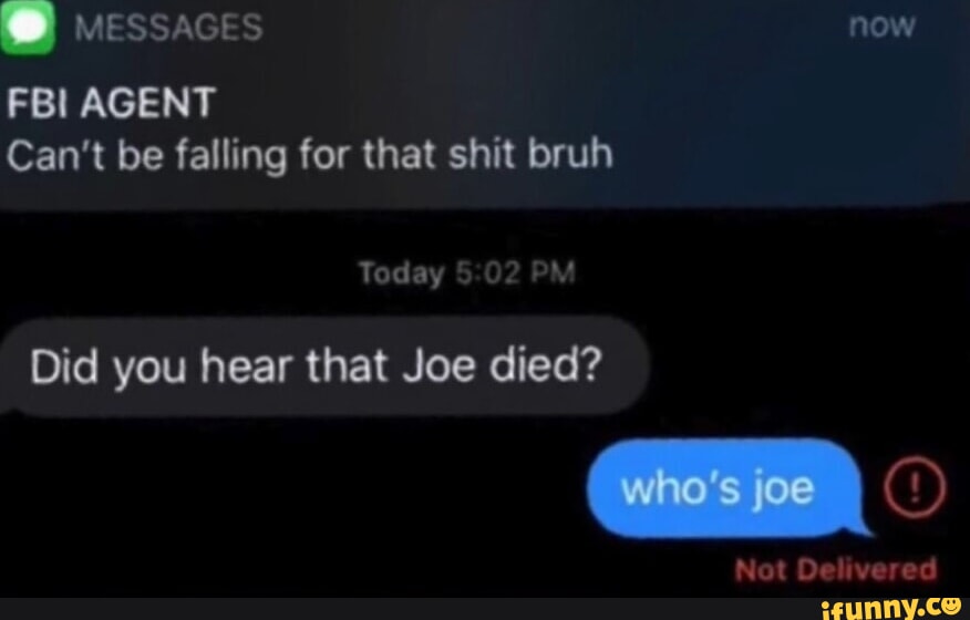 Lost dog found on Chamberlin rd, no collar, and seems to be a bit ...