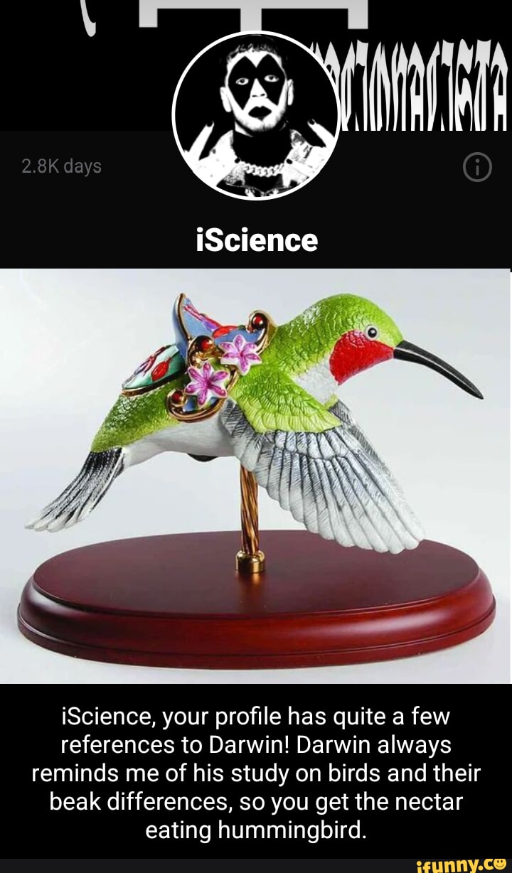Hummingbird memes. Best Collection of funny Hummingbird pictures on iFunny