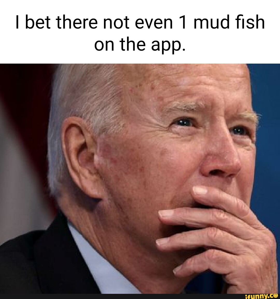 Mudfish memes. Best Collection of funny Mudfish pictures on iFunny