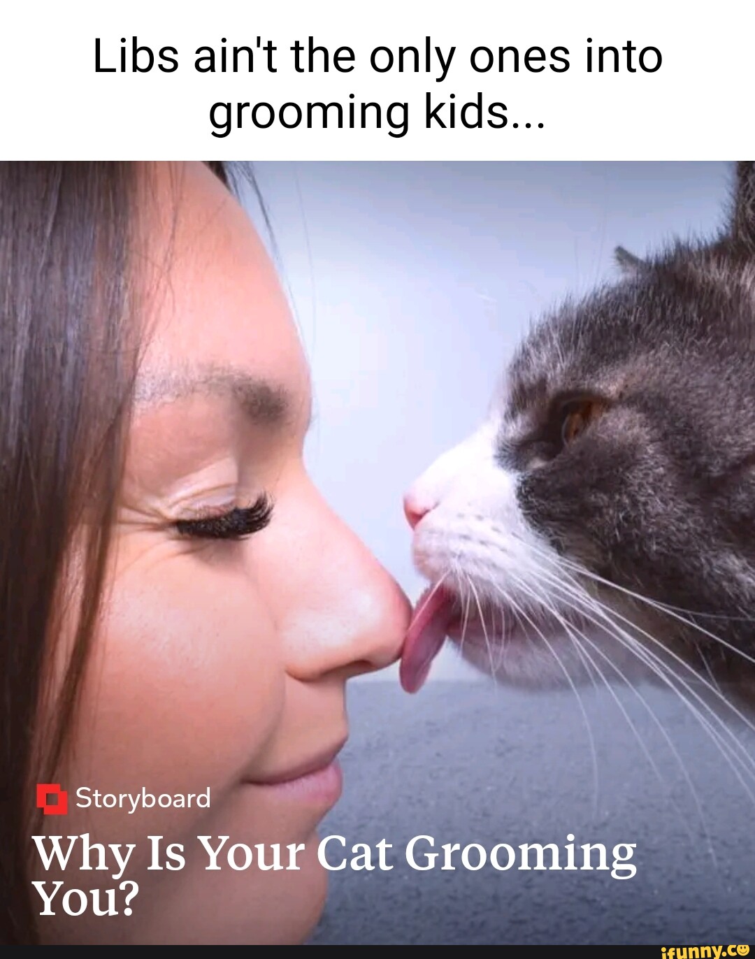 Storyboard memes. Best Collection of funny Storyboard pictures on iFunny