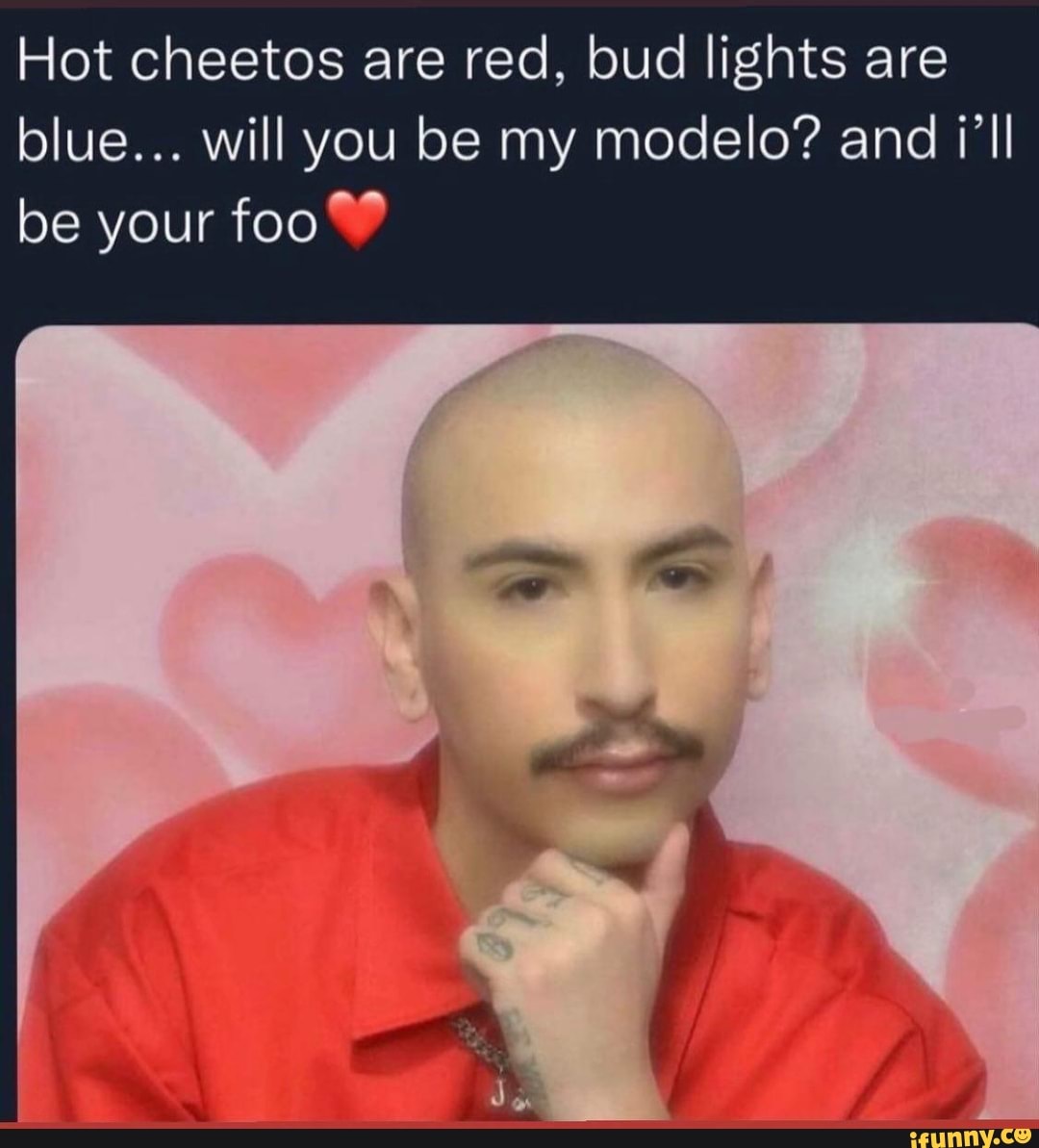 Hot cheetos are red, bud lights are blue... will you be my modelo? and ...