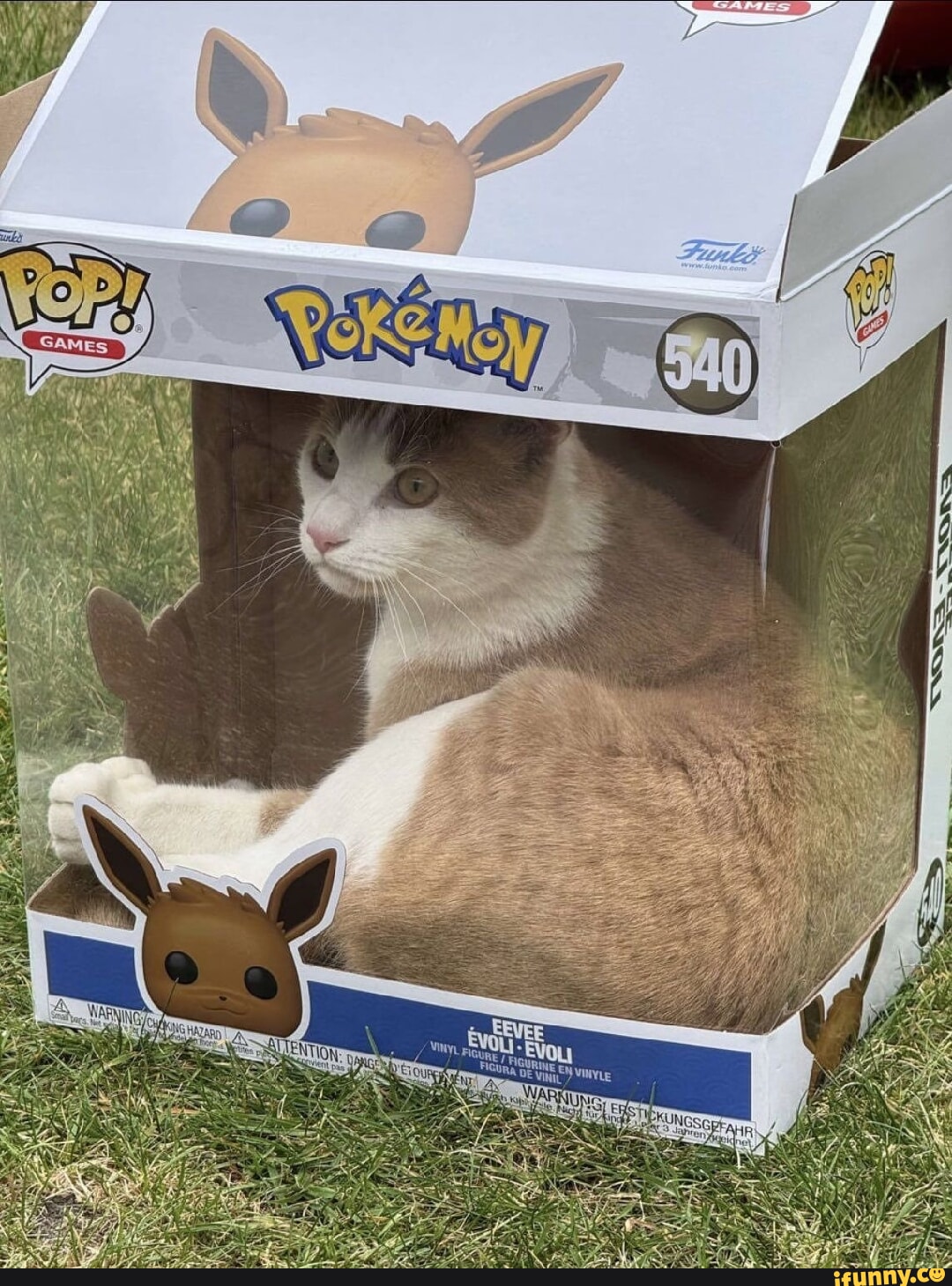 Eevee memes. Best Collection of funny Eevee pictures on iFunny