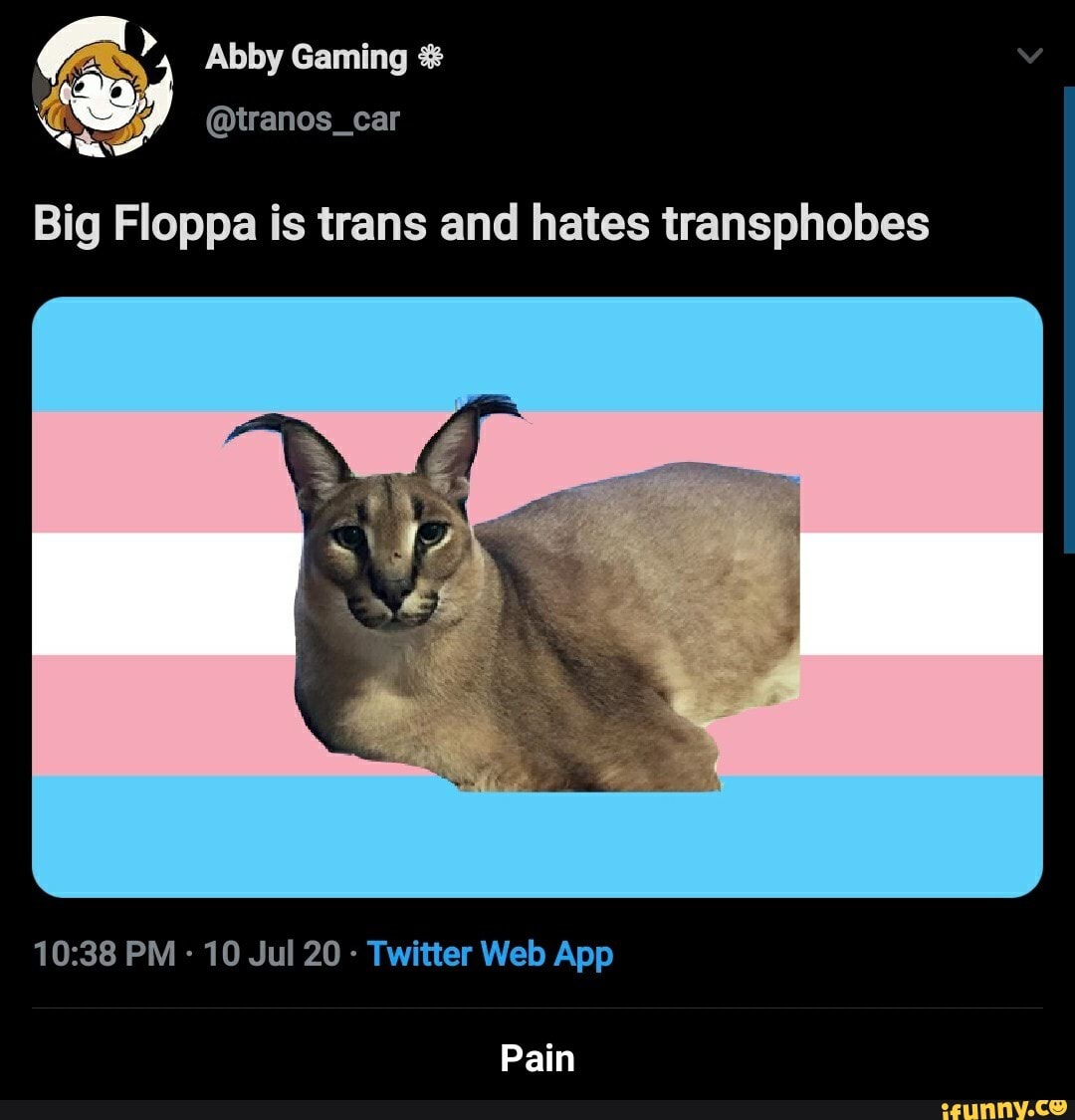 " Abby Gaming @tranos_car Big Floppa is trans and hates transphobes PM ...