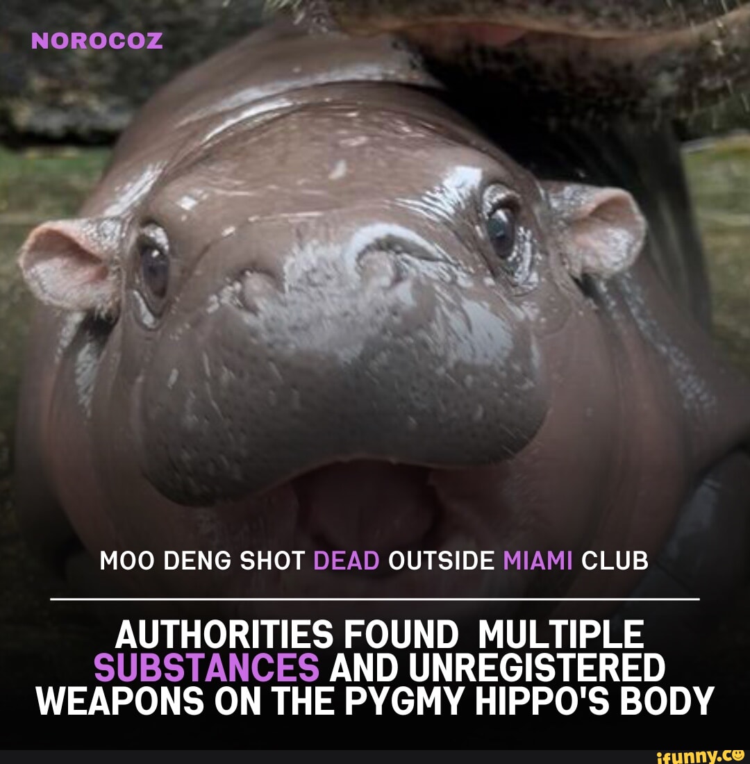 Picture memes cblYOevI7 by Matt_the_rain - iFunny