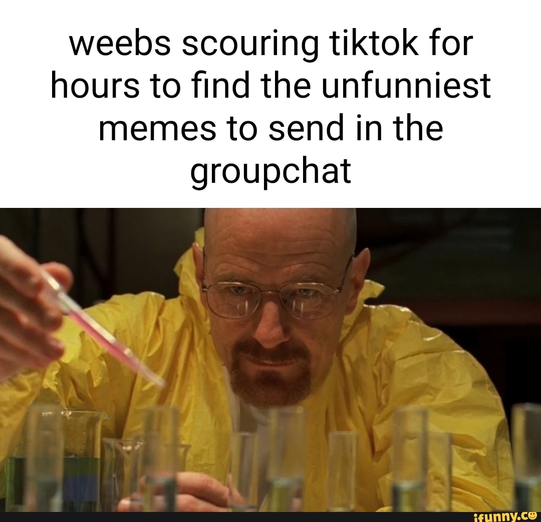Weebs scouring tiktok for hours to find the unfunniest memes to send in ...