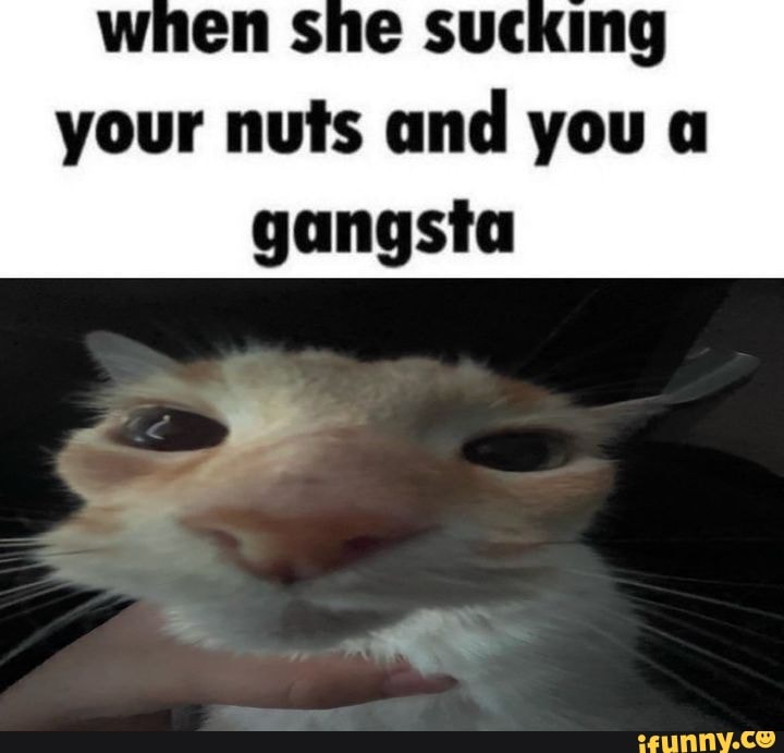 Memes de imagem Hq9RJfmx9 por ZecaSamuel: 11 comentários - )
